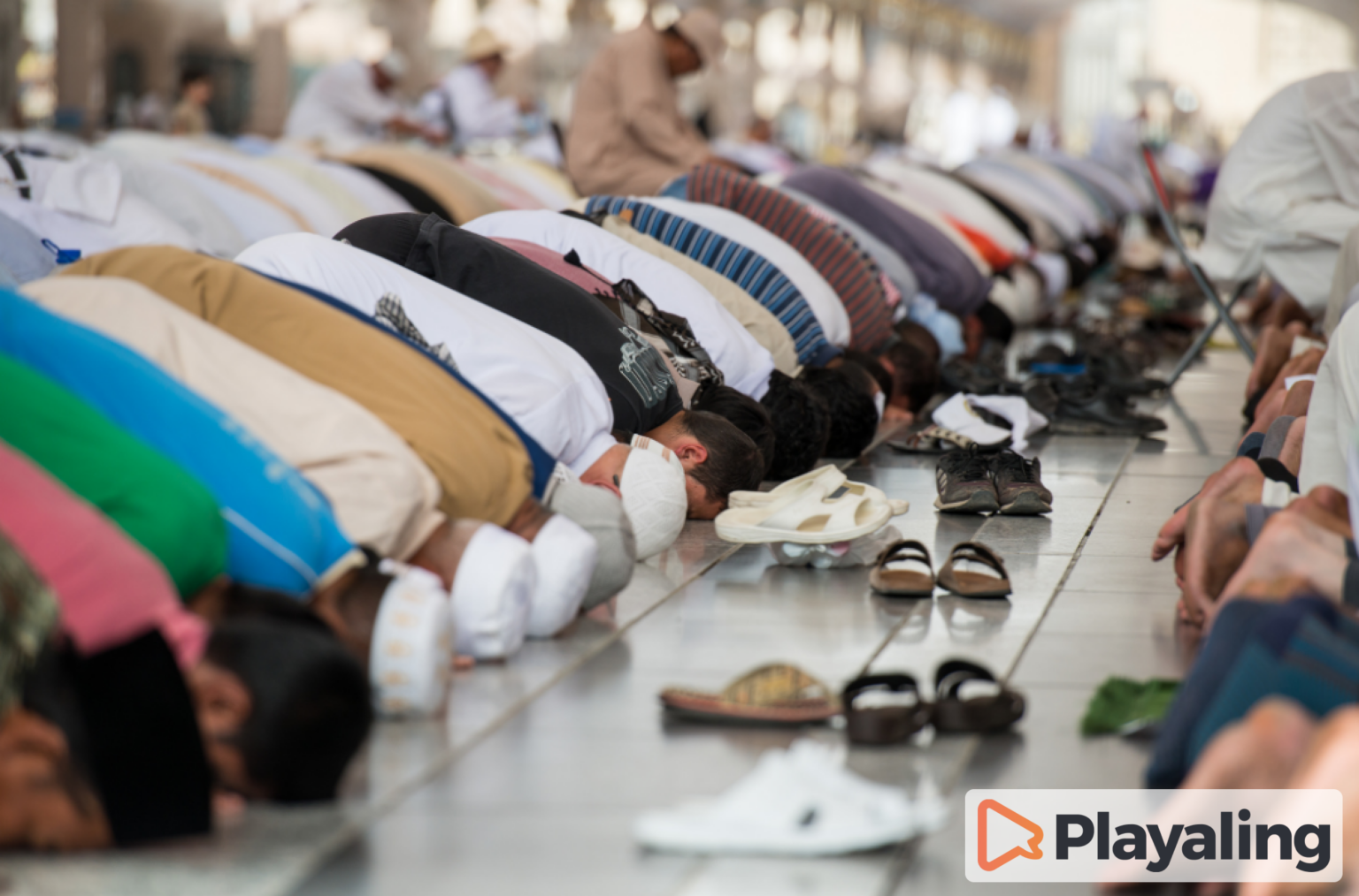 Explore the difference between Arabs and Muslims | Playaling